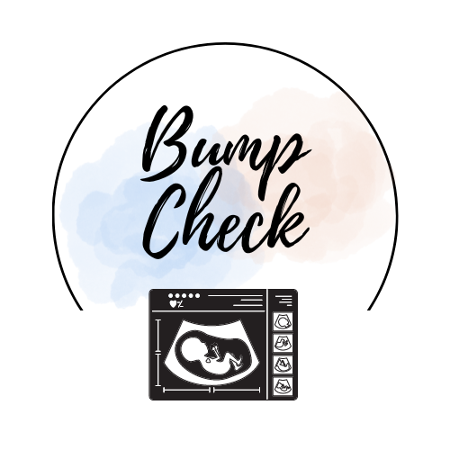 Bump Check (Anytime) – From Bumps 2 Babies